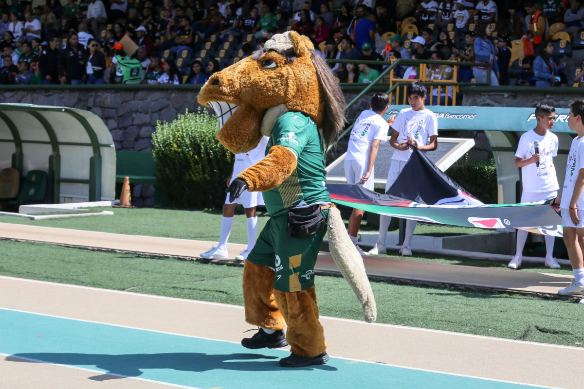 Kuako de la UAEMex, finalista del Torneo Mundial de Mascotas - AD Noticias