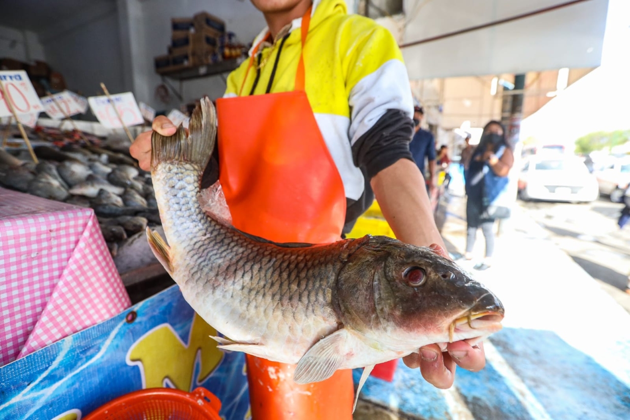 Galería | Mojarra y camarón los mariscos más caros de la cuaresma