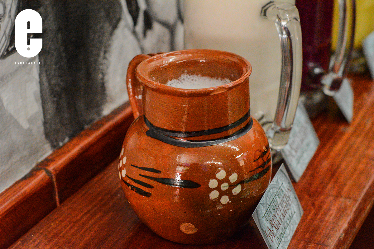 La revolución del pulque está en Metepec