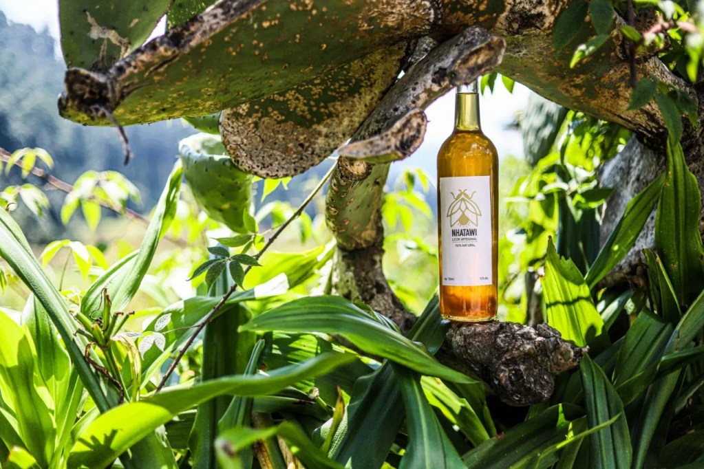 Descubre San Francisco Oxtotlilpan, la última comunidad matlatzinca de ...