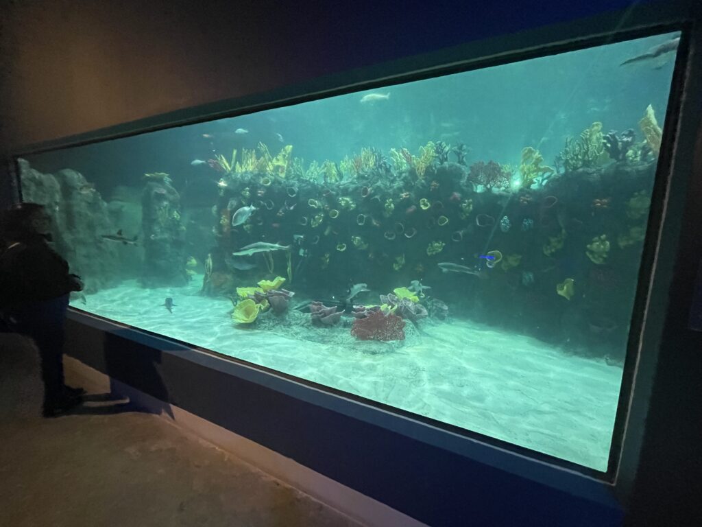 ¡Conoce el Acuario Michin en CDMX! Aquí te decimos todo lo que debes saber