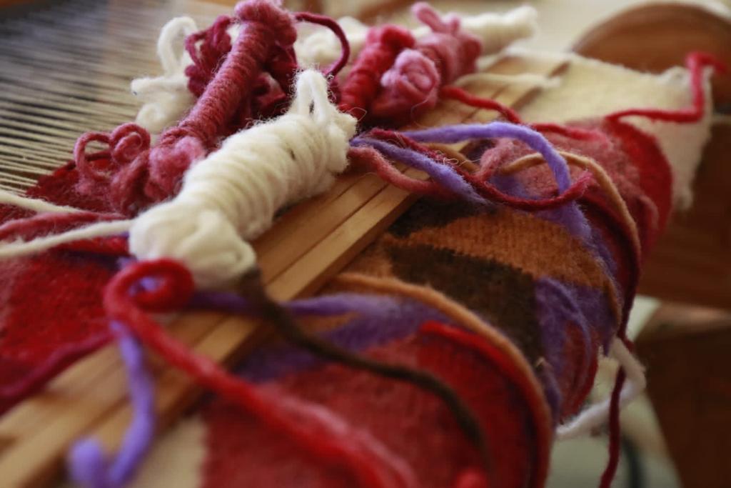 ¡Conoce La Tierra del Sarape! La comunidad textilera del Edomex ...