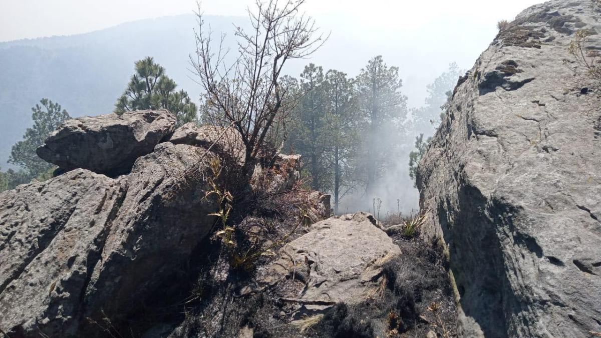 Jilotzingo, una semana de lucha incansable contra los incendios