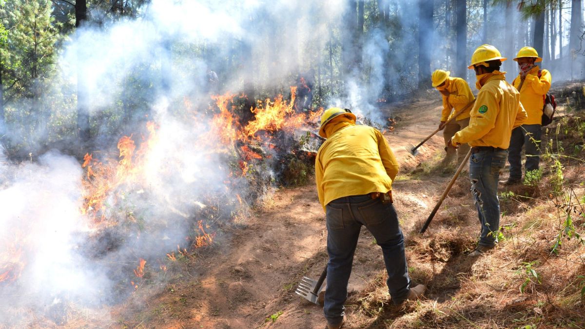 Te decimos cuál es la principal causa de incendios en Edomex