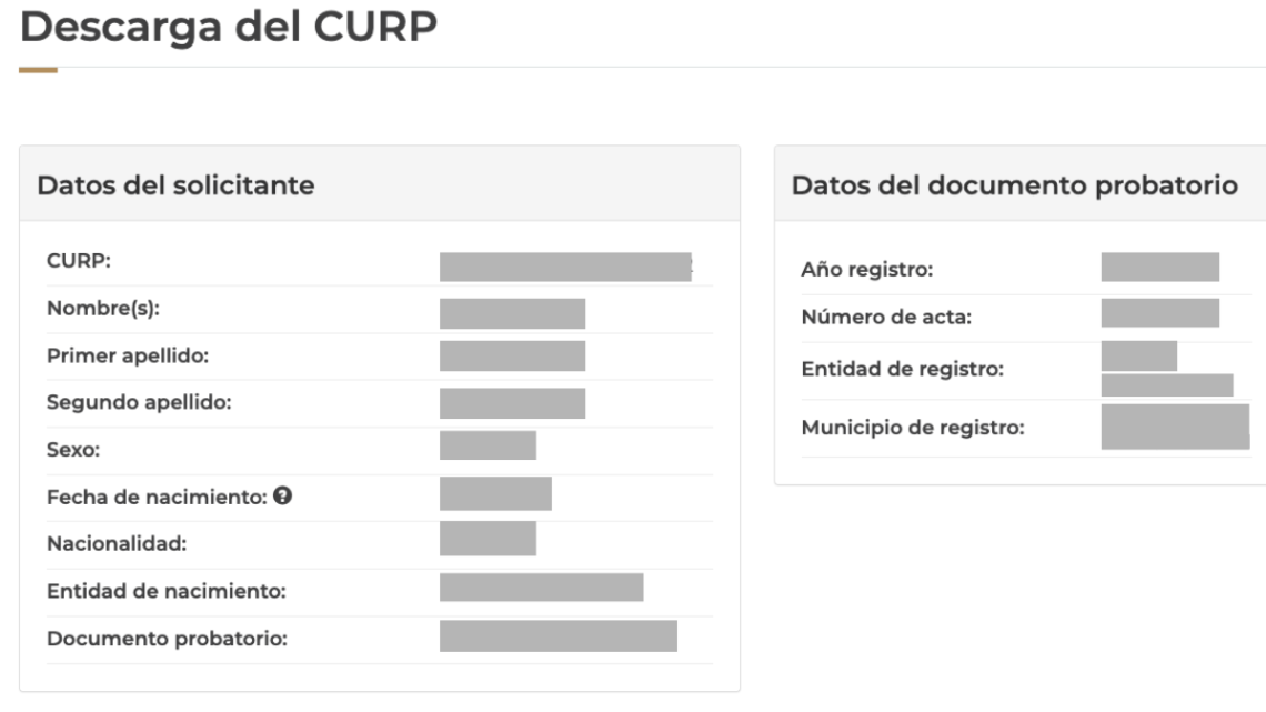 ¿Cómo tramitar tu CURP en línea? Aquí te decimos
