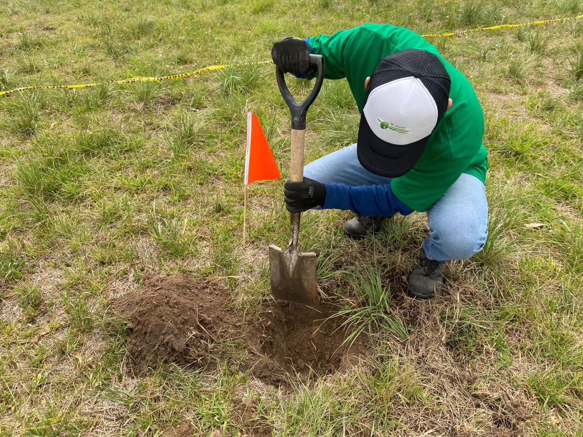 Familias siembran árboles en la Alameda 2000 en Toluca