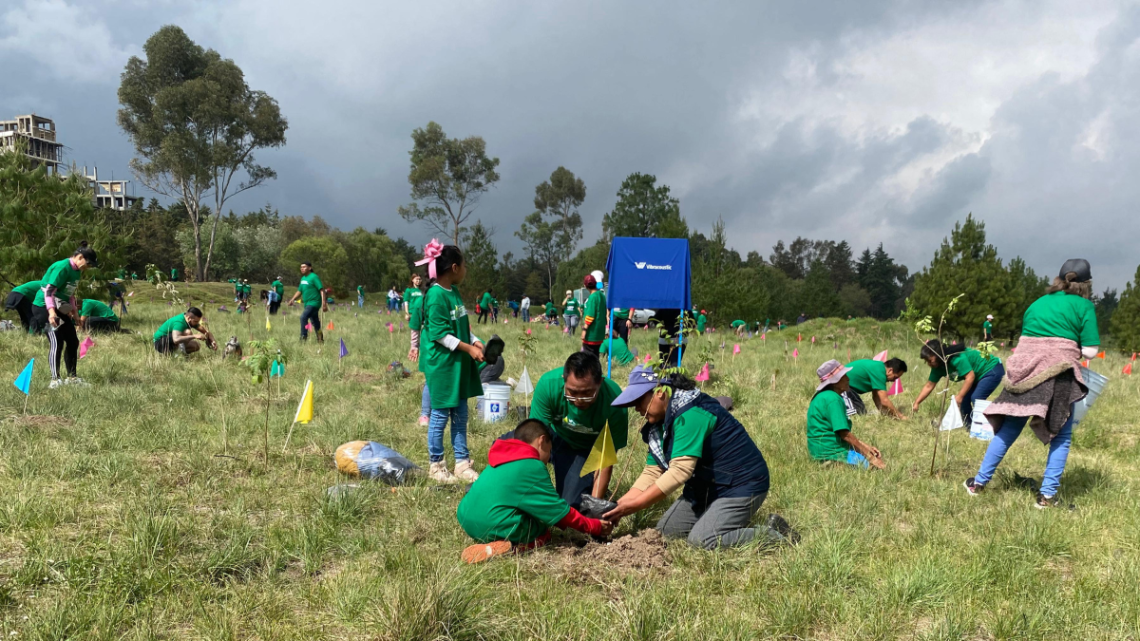Familias siembran árboles en la Alameda 2000 en Toluca