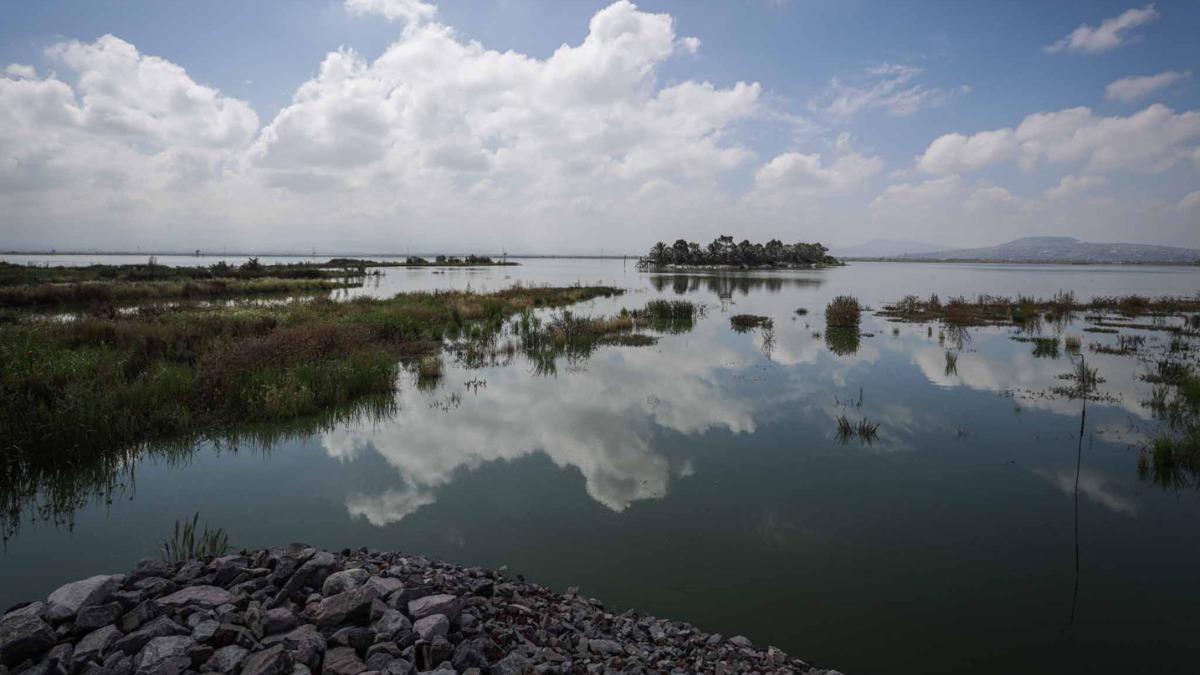 VIDEO | Un vistazo al Parque Ecológico Lago de Texcoco antes de su ...