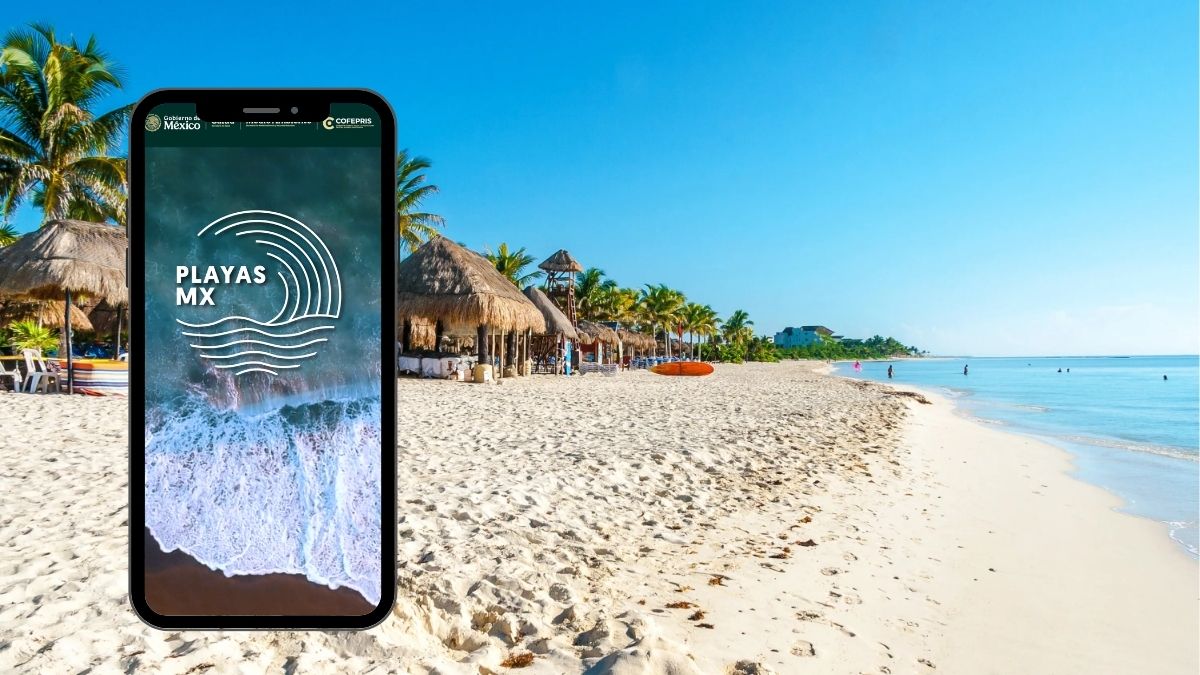 Estas son las playas más limpias de México para disfrutar el verano